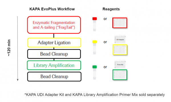 KAPA EvoPlus V2 Kits | Roche Sequencing Store