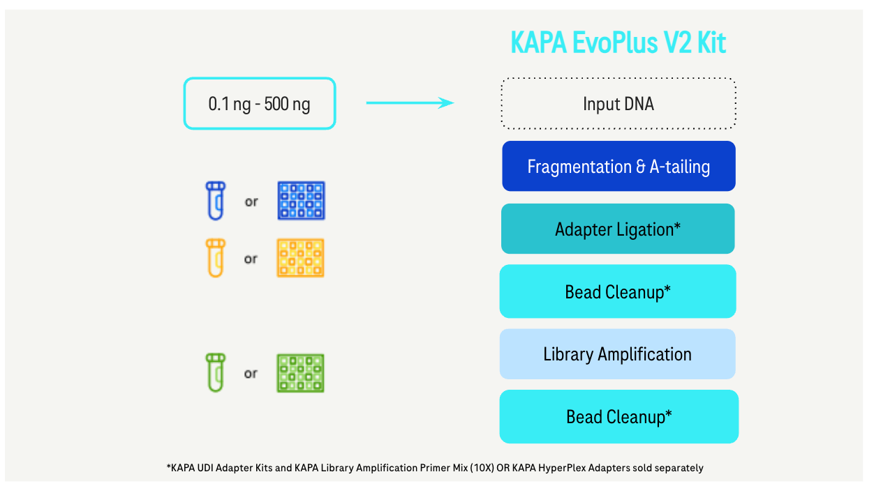 KAPA EvoPlus V2 Kits | Roche Sequencing Store