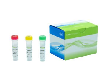 KAPA HyperPrep Kit - Roche Sequencing Store
