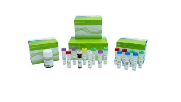 KAPA mRNA HyperPrep Kit - Roche Sequencing Store